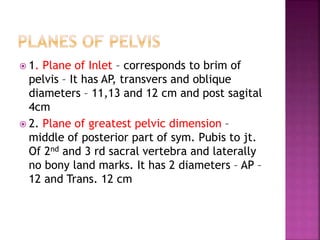 Pelvis - Obstetrical Significance | PPTX