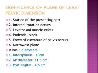 Pelvis - Obstetrical Significance | PPTX