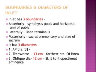 Pelvis - Obstetrical Significance | PPTX