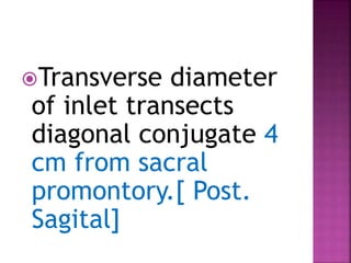Pelvis - Obstetrical Significance | PPTX