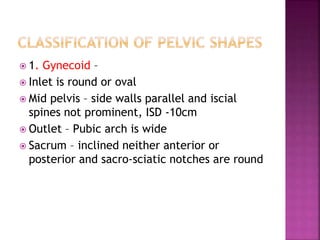 Pelvis - Obstetrical Significance | PPTX