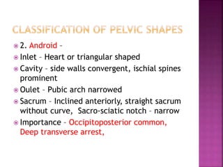 Pelvis - Obstetrical Significance | PPTX