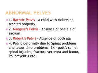 Pelvis - Obstetrical Significance | PPTX