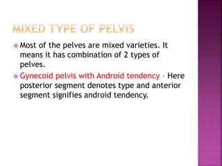 Pelvis - Obstetrical Significance | PPTX