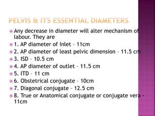 Pelvis - Obstetrical Significance | PPTX