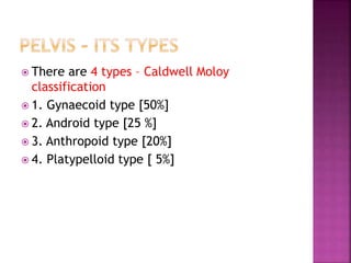 Pelvis - Obstetrical Significance | PPTX