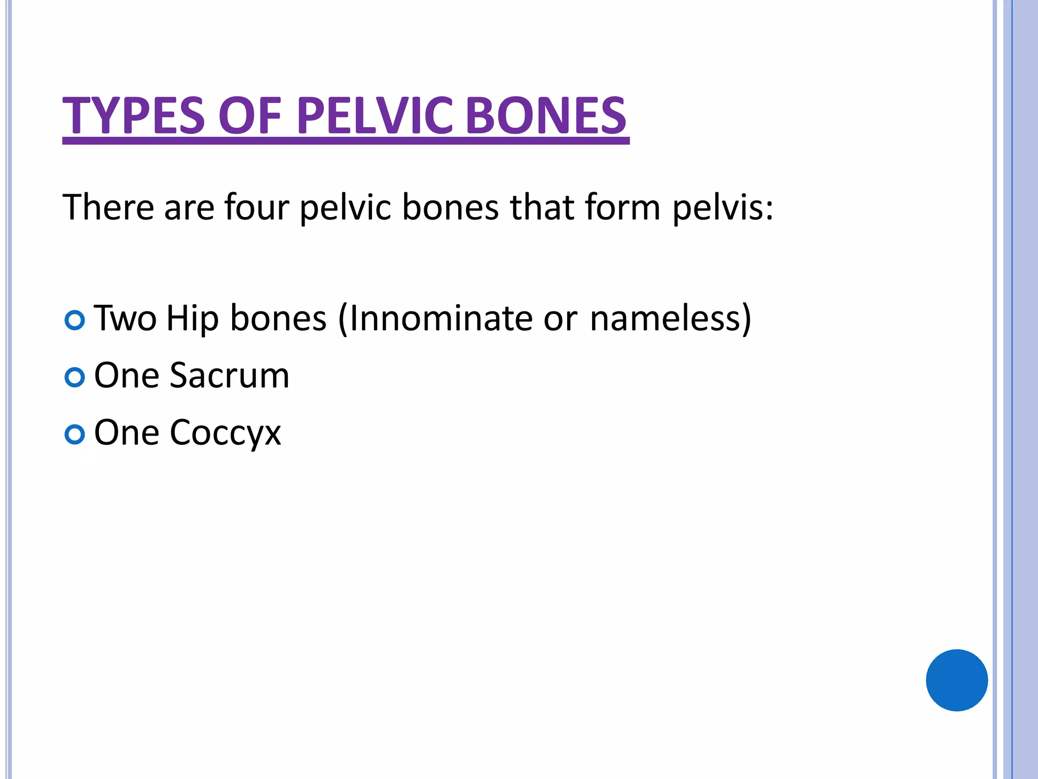 Pelvis.pptx