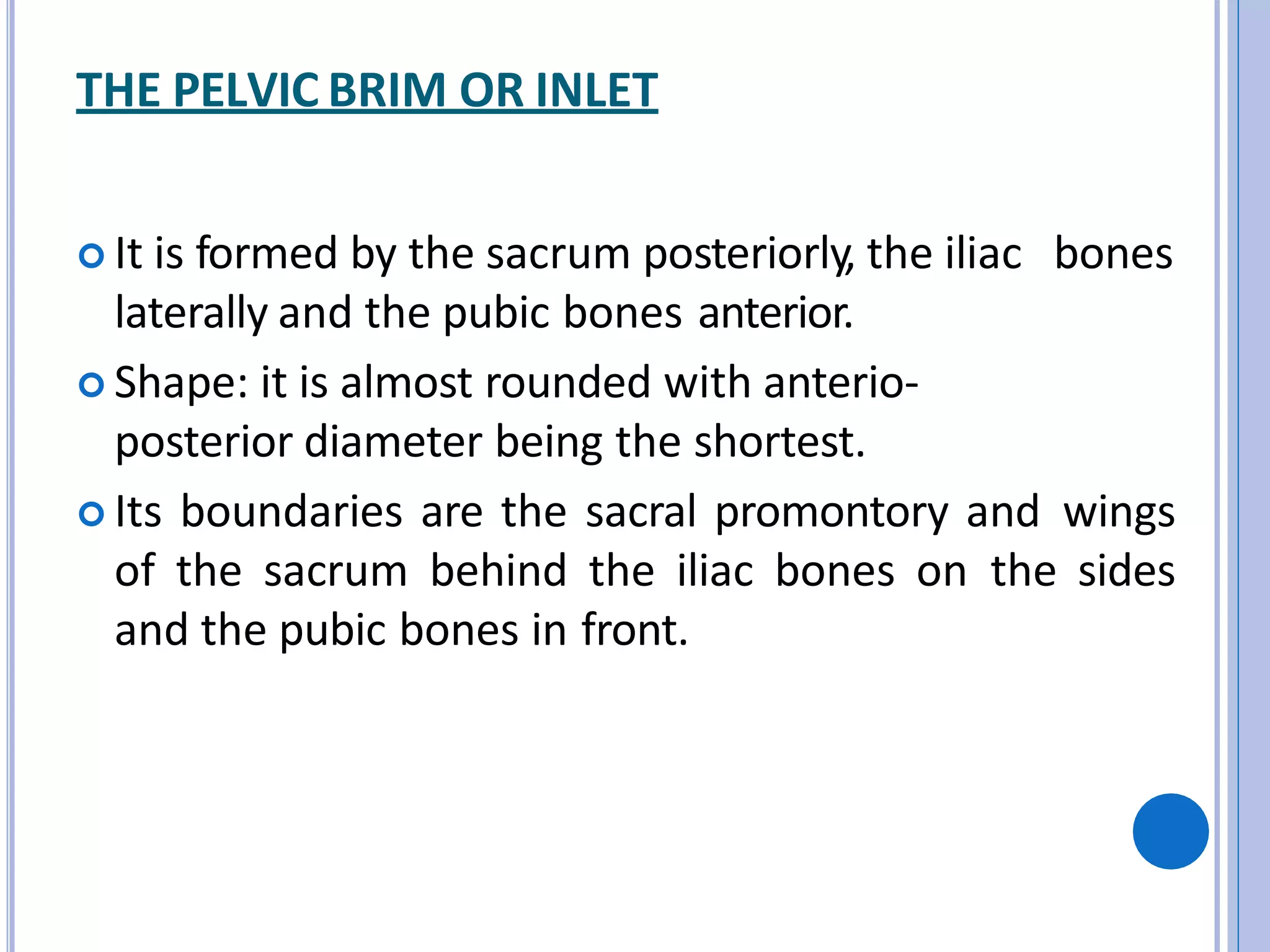 Pelvis.pptx