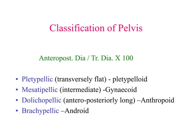 female Pelvis anatomy and physiology.... | PDF | Pregnancy ...