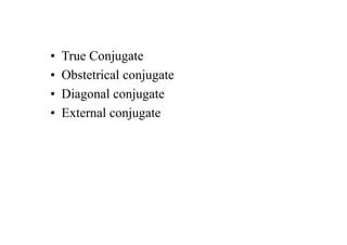 female Pelvis anatomy and physiology.... | PDF