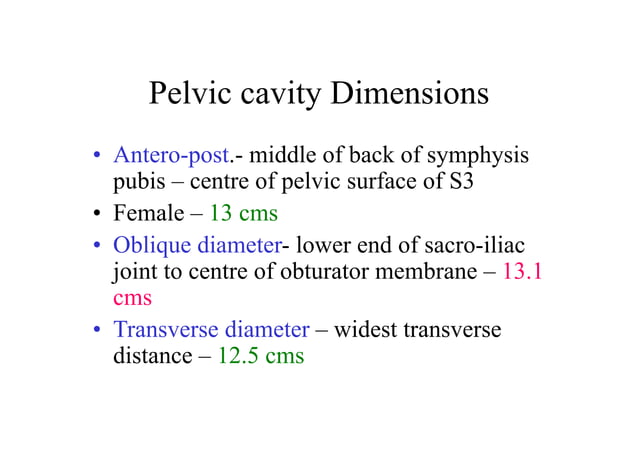 female Pelvis anatomy and physiology.... | PDF | Pregnancy ...