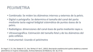 PELVIS.pelvimetria en la gestante de término | PPT