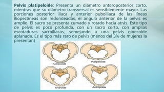 ANATOMIA DE LA PELVISS Y EXAMEN PELVIMETRICO | PPTX