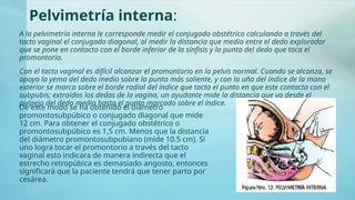 ANATOMIA DE LA PELVISS Y EXAMEN PELVIMETRICO | PPTX