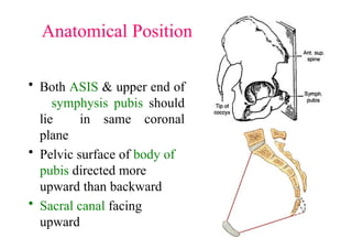Pelvis.anatomy and types and diameters of pelvis | PPTX