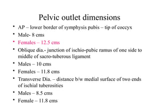 Pelvis.anatomy and types and diameters of pelvis | PPTX
