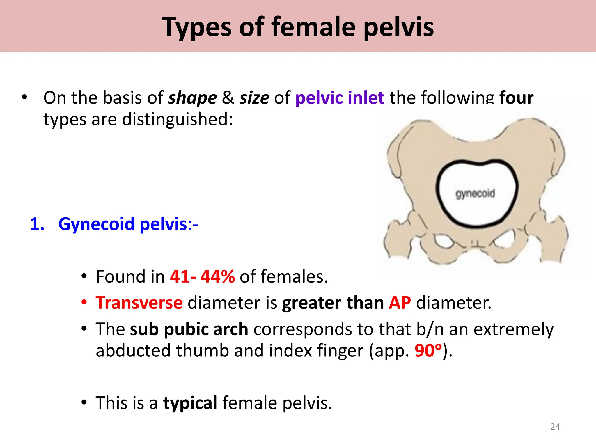 Pelvis-Bony pelvis and soft tissue anatomy(1).pdf | Death, Injury, or ...
