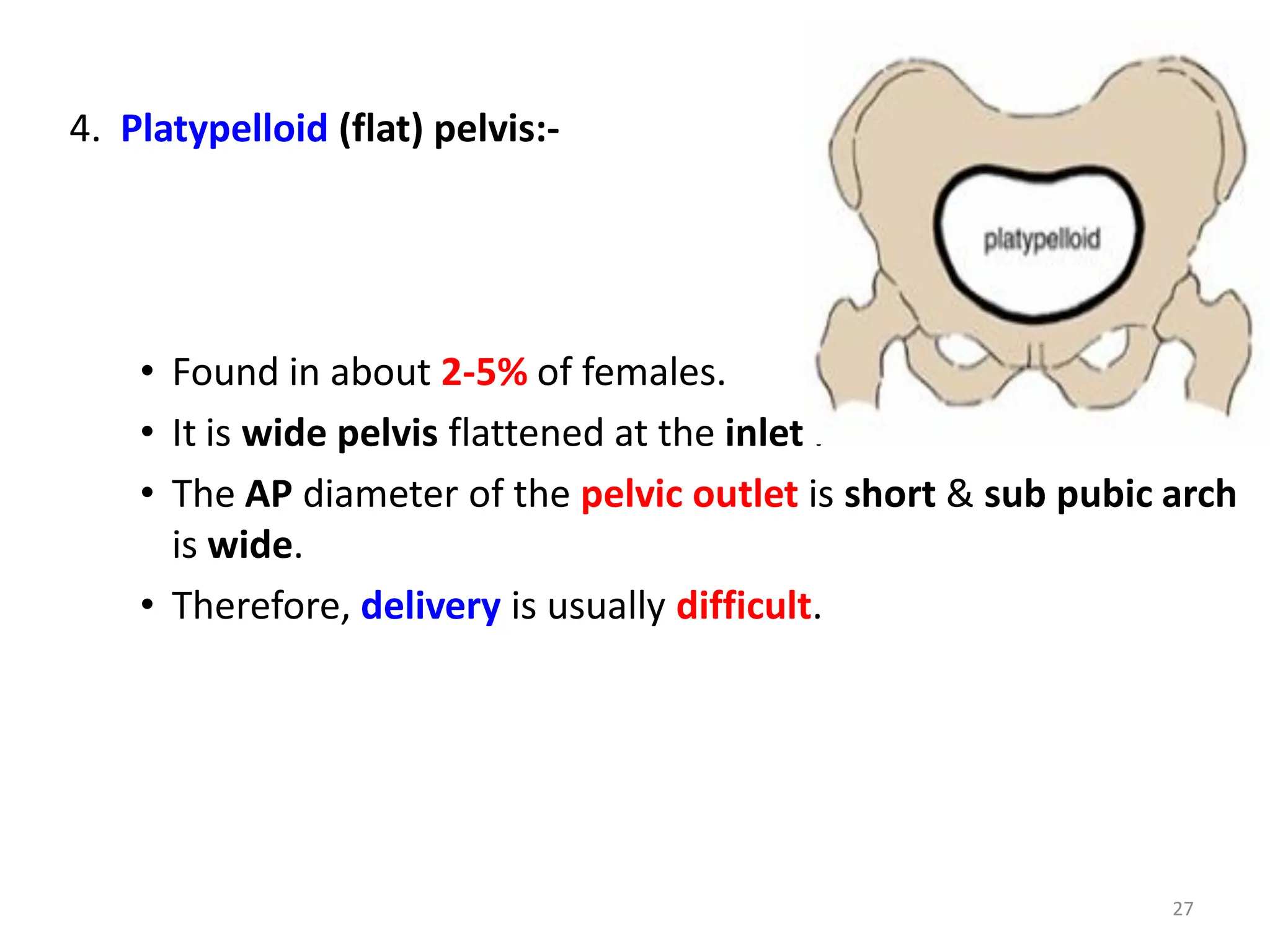 Pelvis-Bony pelvis and soft tissue anatomy(1).pdf | Death, Injury, or ...