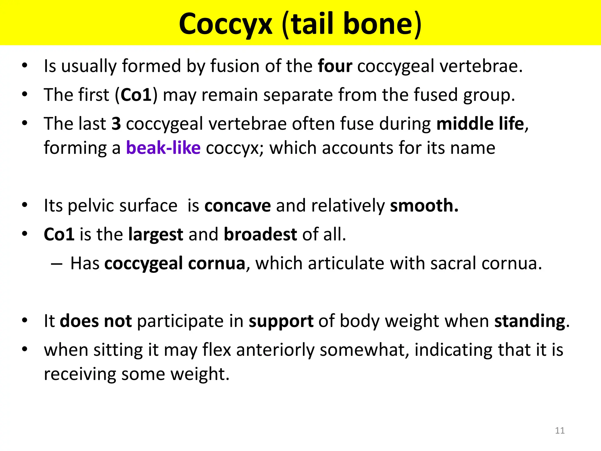Pelvis-Bony pelvis and soft tissue anatomy(1).pdf | Death, Injury, or ...