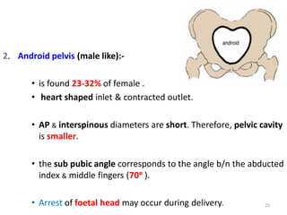 Pelvis-Bony pelvis and soft tissue anatomy(1).pdf | Death, Injury, or ...