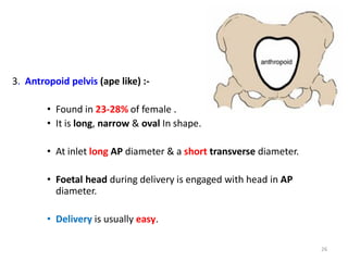 Pelvis-Bony pelvis and soft tissue anatomy(1).pdf