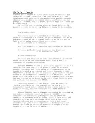 Pelvis osea-blanda | DOC