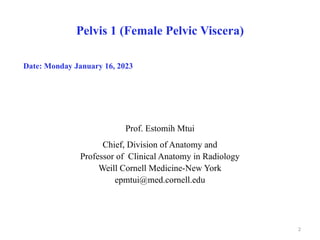 Pelvis 1 Female Pelvic Viscera) pptx.pptx