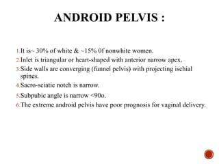 Female PELVIS types of and clinical importance | PPTX | Death, Injury ...