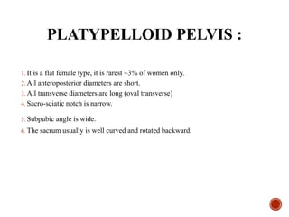 Female PELVIS types of and clinical importance | PPTX