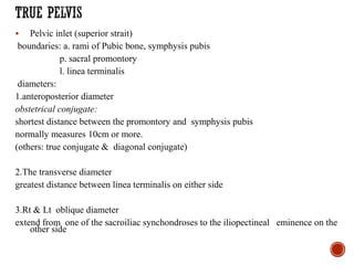 Female PELVIS types of and clinical importance | PPTX