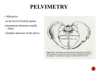 Female PELVIS types of and clinical importance | PPTX