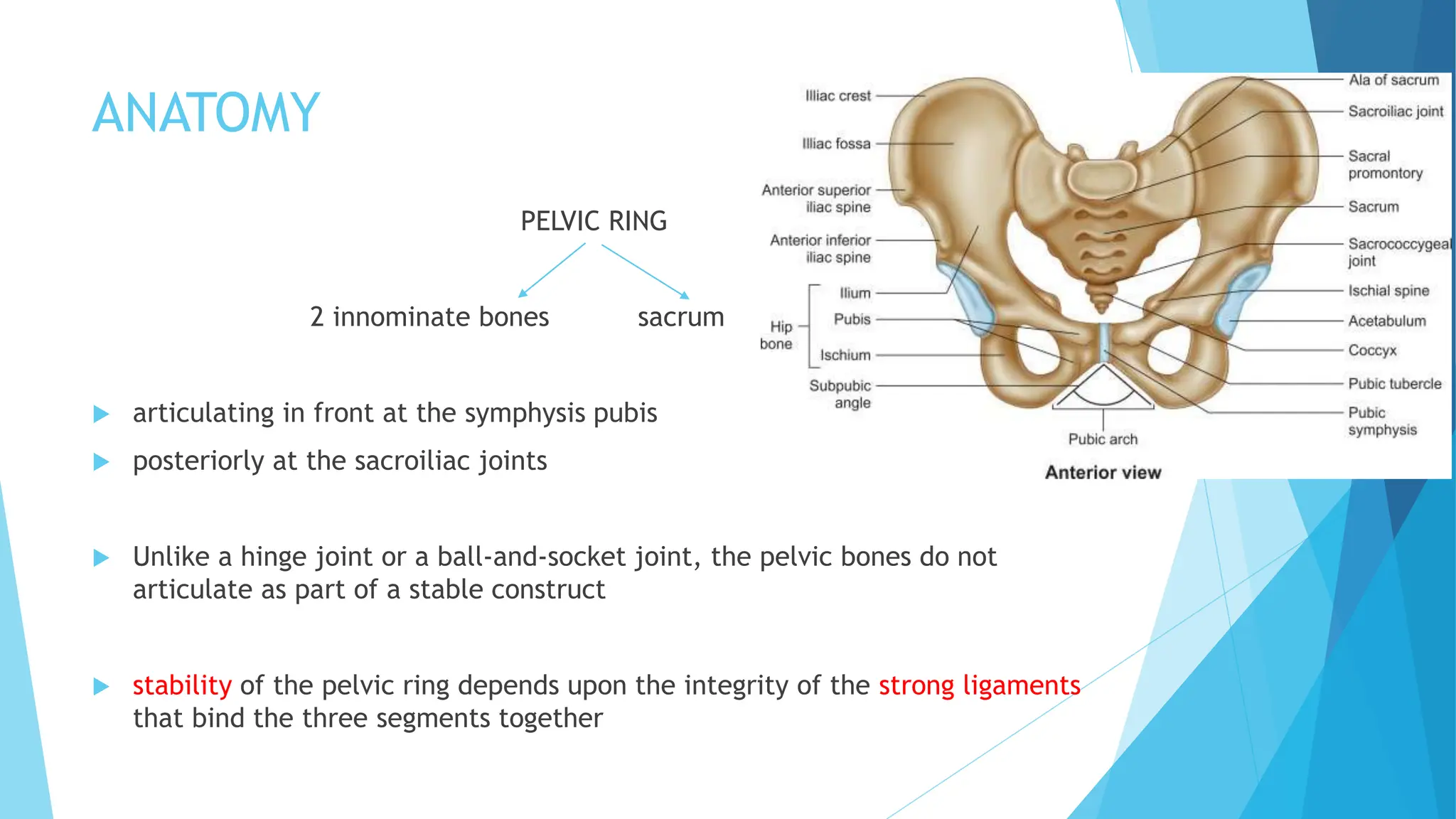 PELVIS & ACETABULUM Orthopaedics topics slides | PPTX
