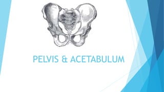 PELVIS & ACETABULUM Orthopaedics topics slides | PPT