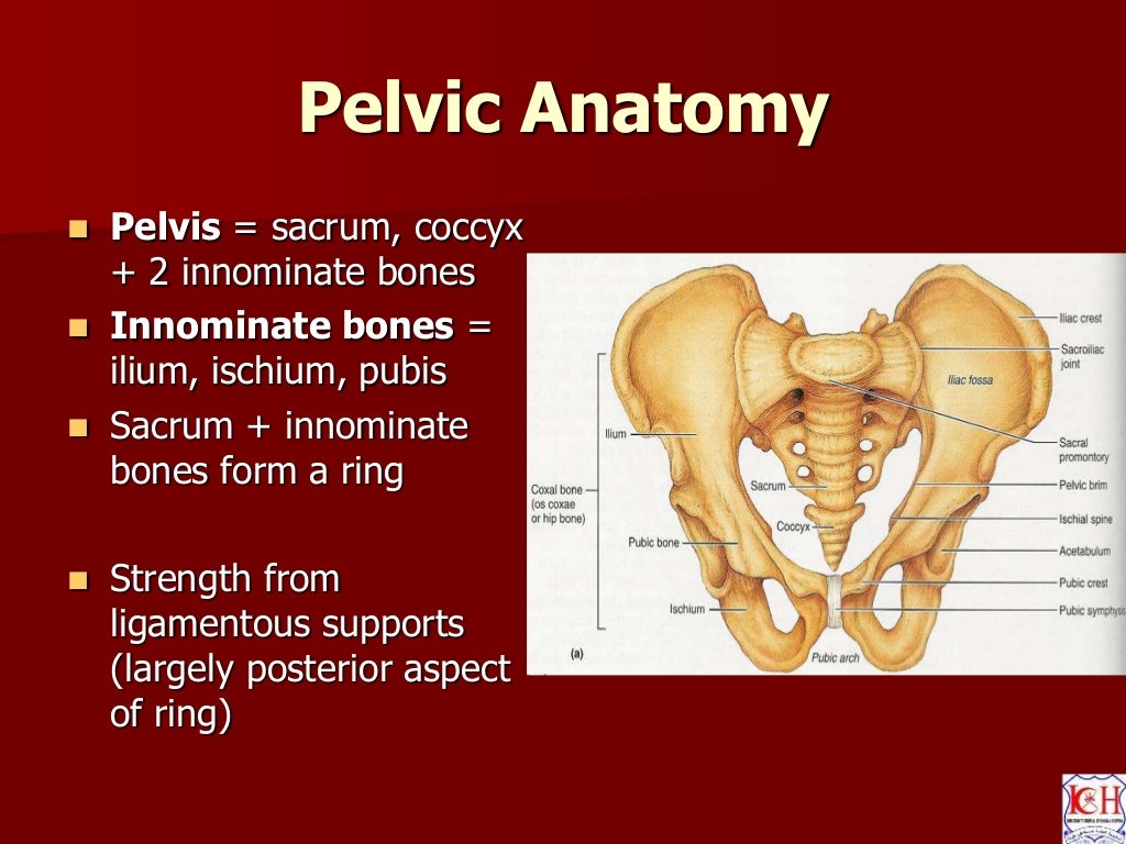 Pelvis acetabulum - anatomy , imaging , classification