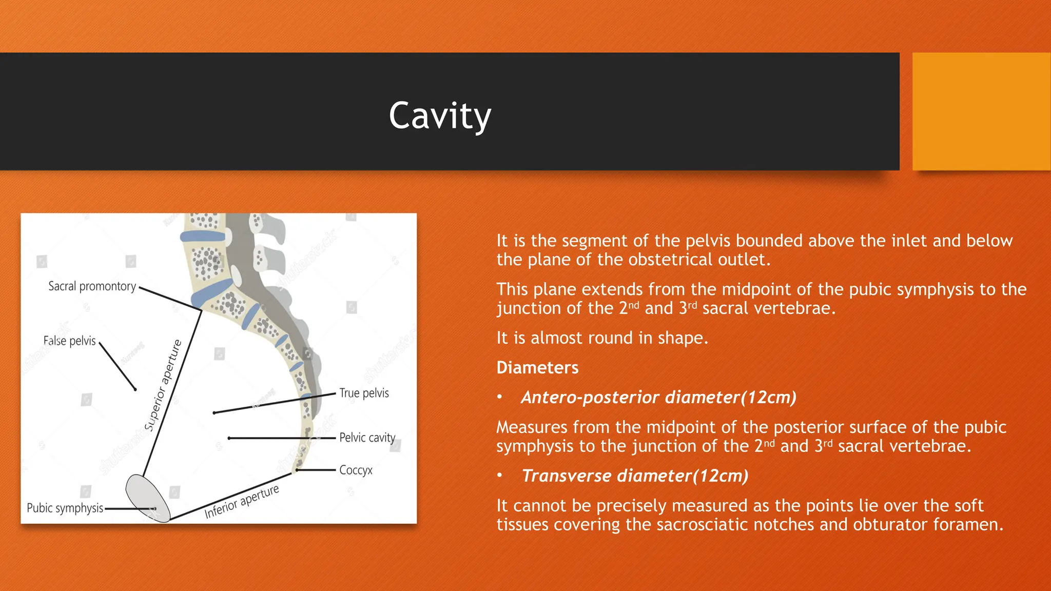 Female Pelvis Anatomy describing its usual changes.pptx
