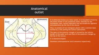 Female Pelvis Anatomy describing its usual changes.pptx