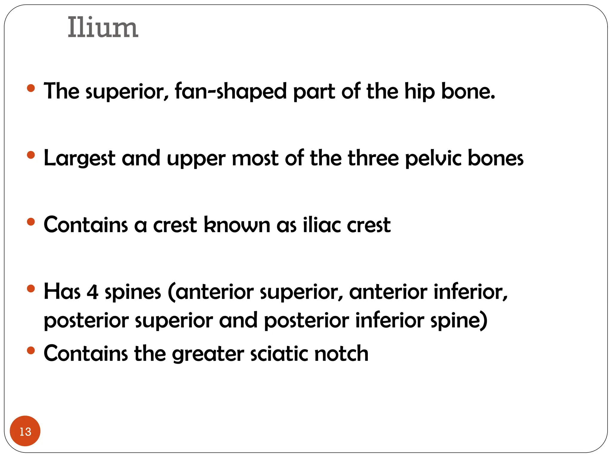 Pelvis Anatomy of female and male humans | PPT