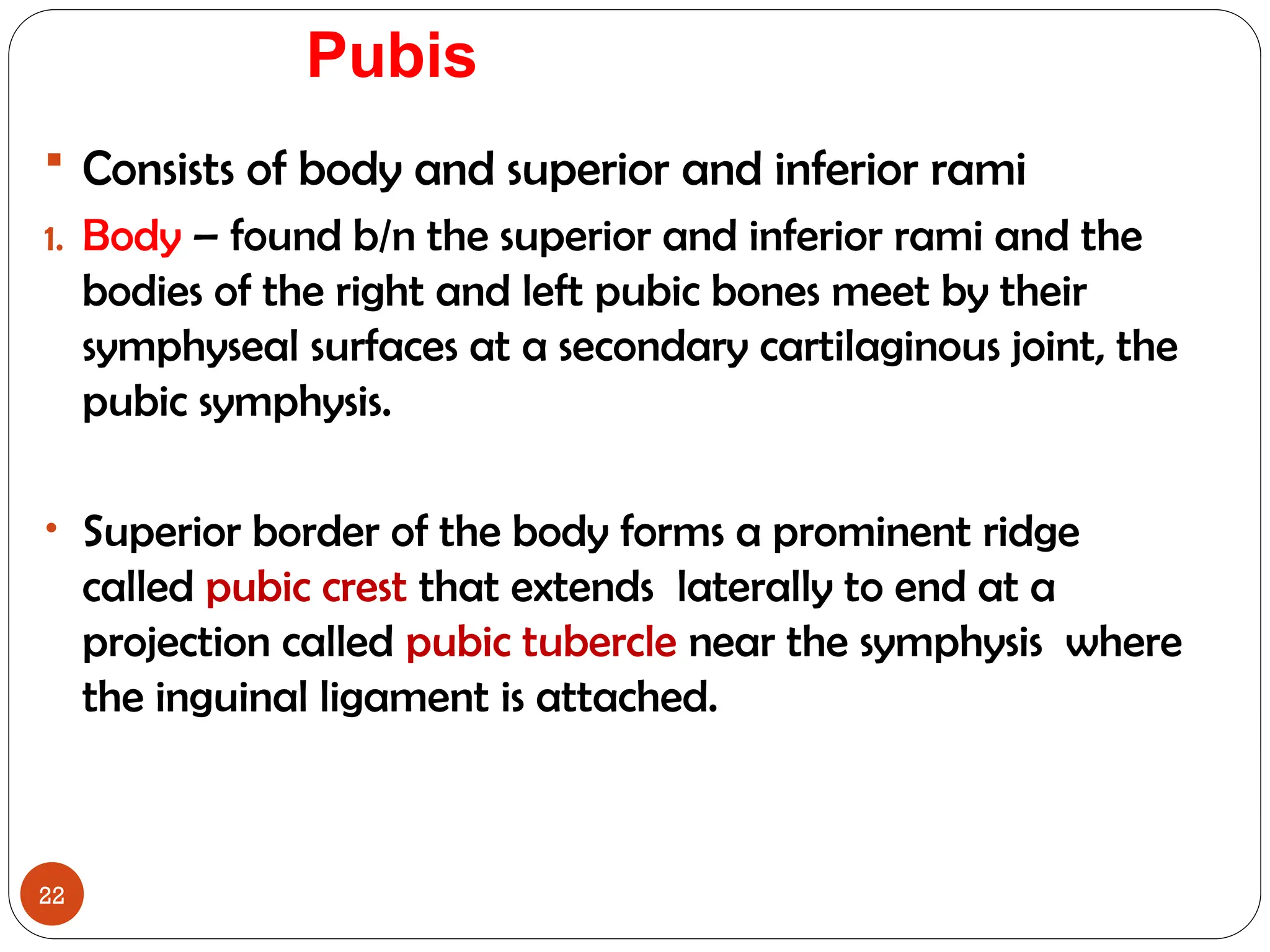 Pelvis Anatomy of female and male humans | PPT