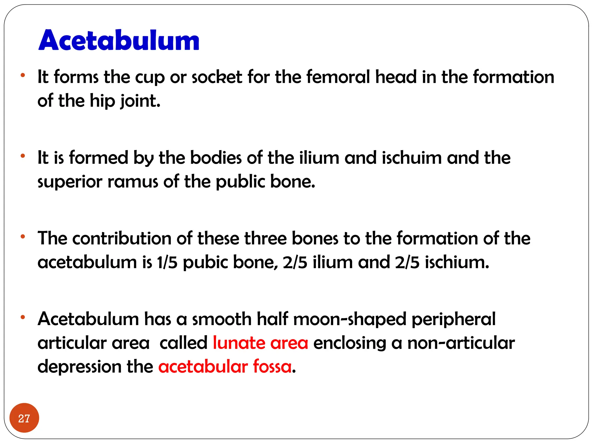 Pelvis Anatomy of female and male humans | PPT