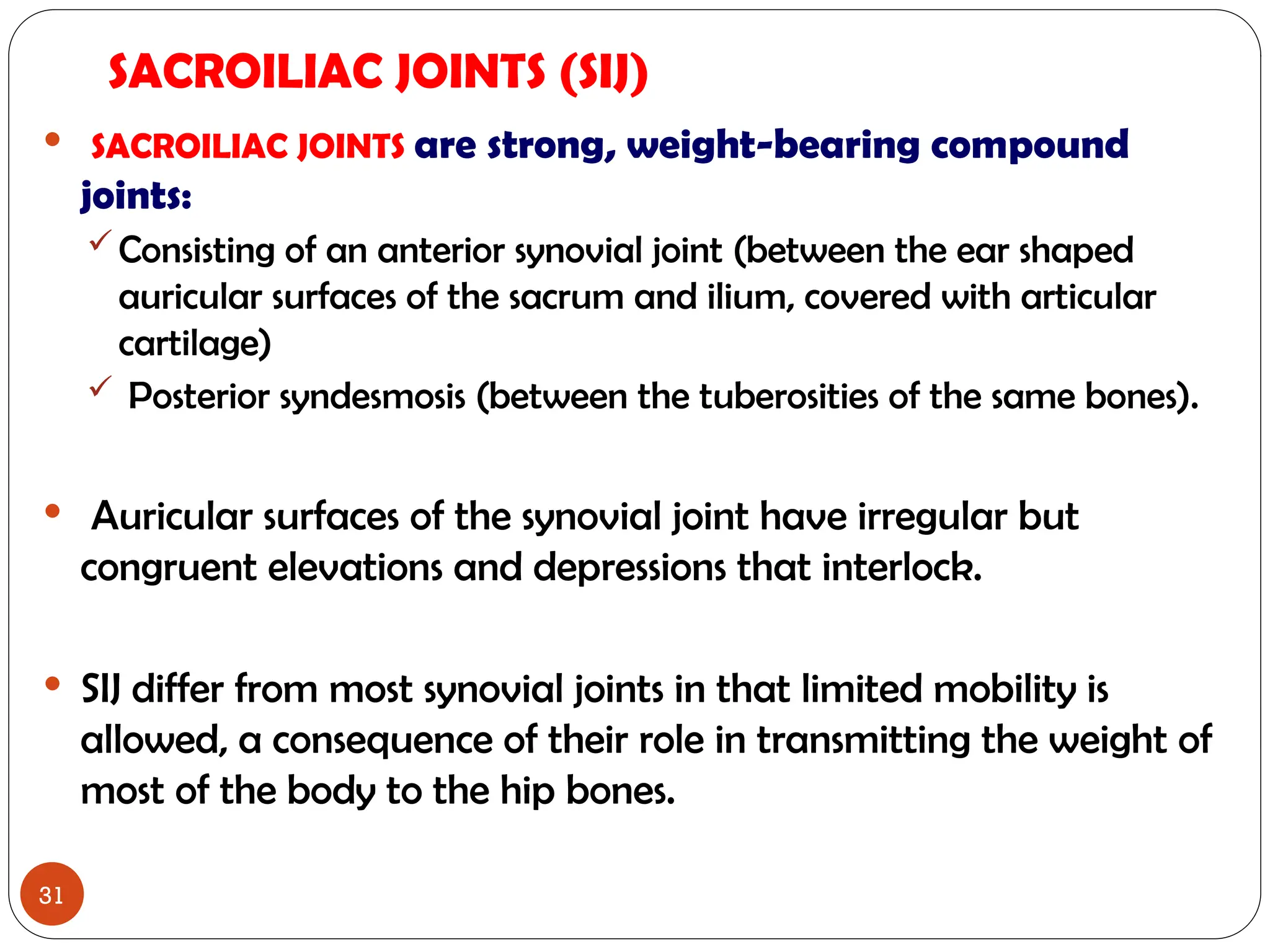Pelvis Anatomy of female and male humans | PPT
