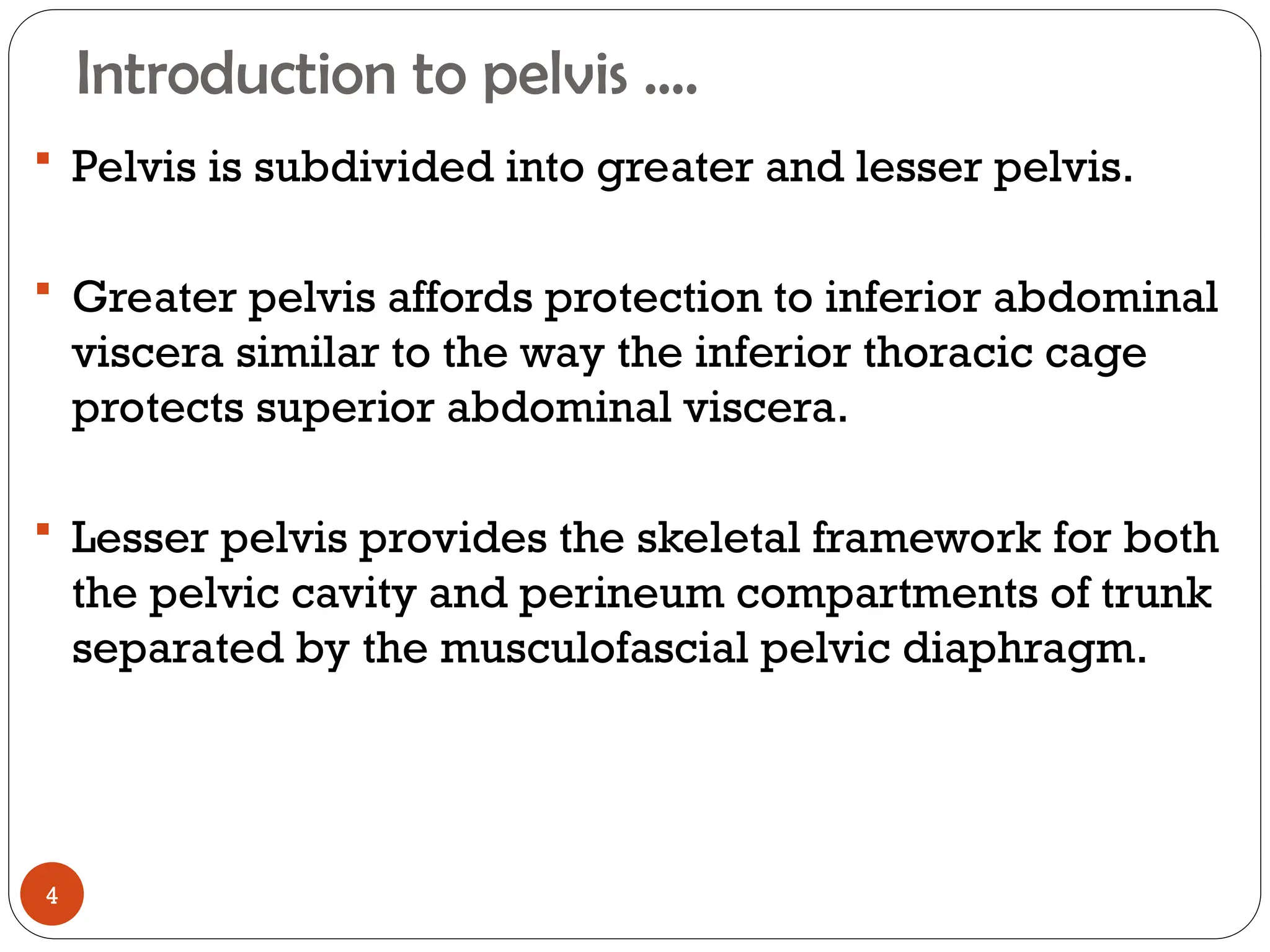 Pelvis Anatomy of female and male humans | PPT