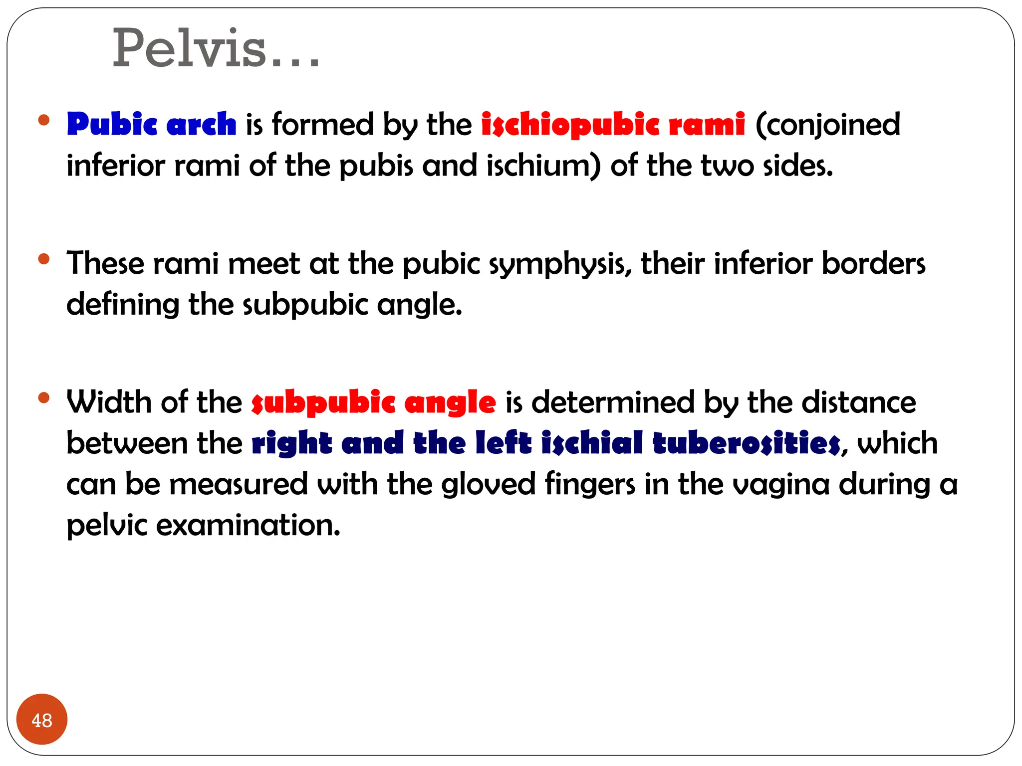 Pelvis Anatomy of female and male humans | PPT