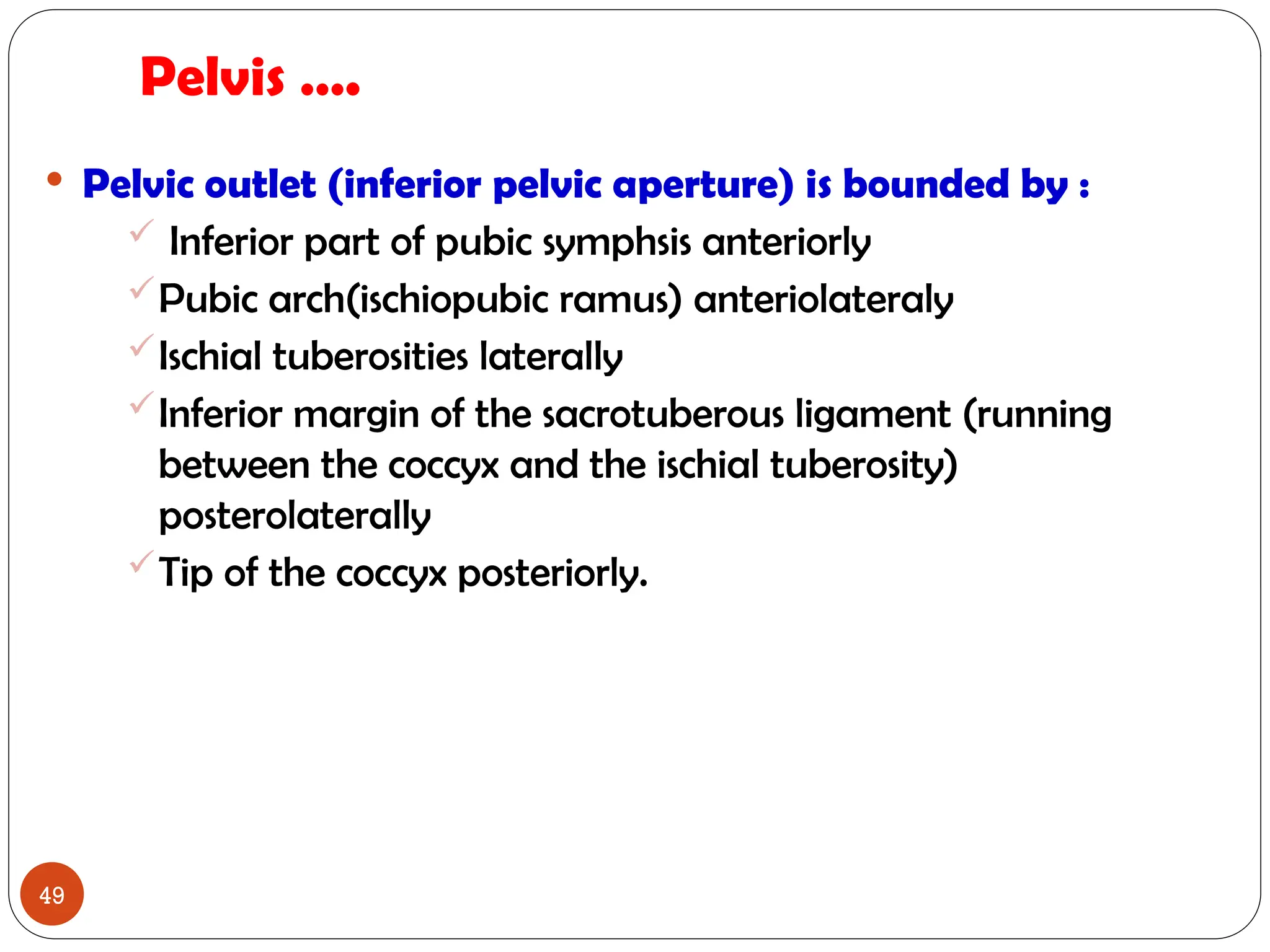 Pelvis Anatomy of female and male humans | PPT