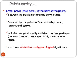 Pelvis Anatomy of female and male humans | PPT