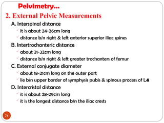 Pelvis Anatomy of female and male humans | PPT