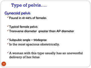 Pelvis Anatomy of female and male humans | PPT