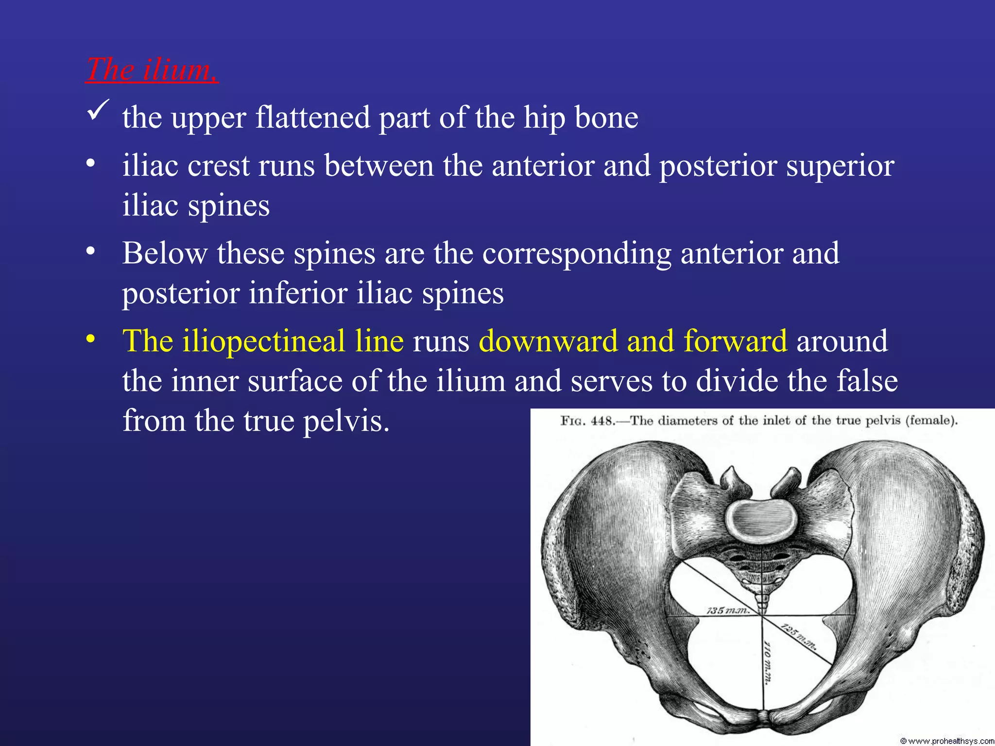 Pelvis and pelvimetry | PPT