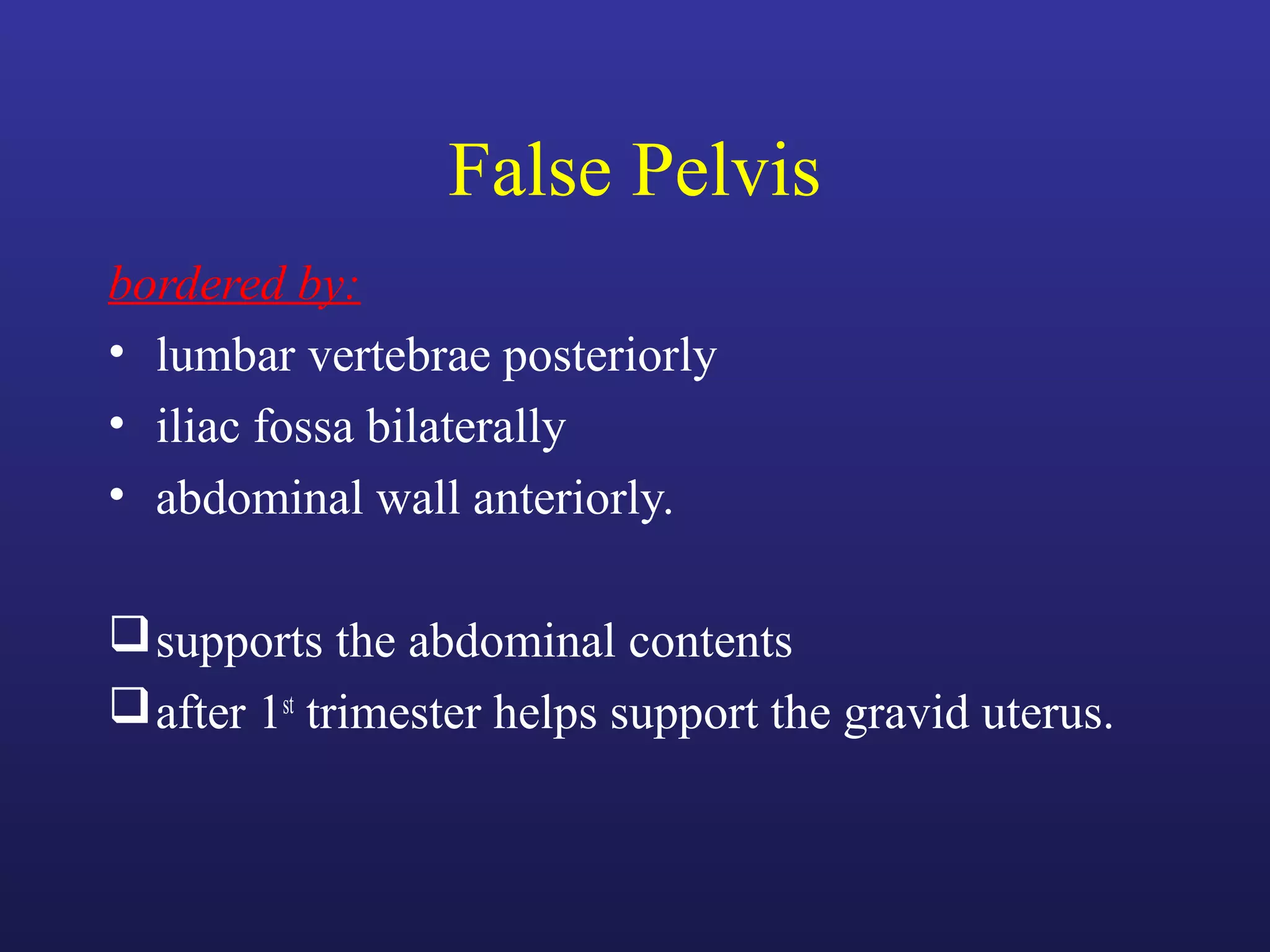 Pelvis and pelvimetry | PPT