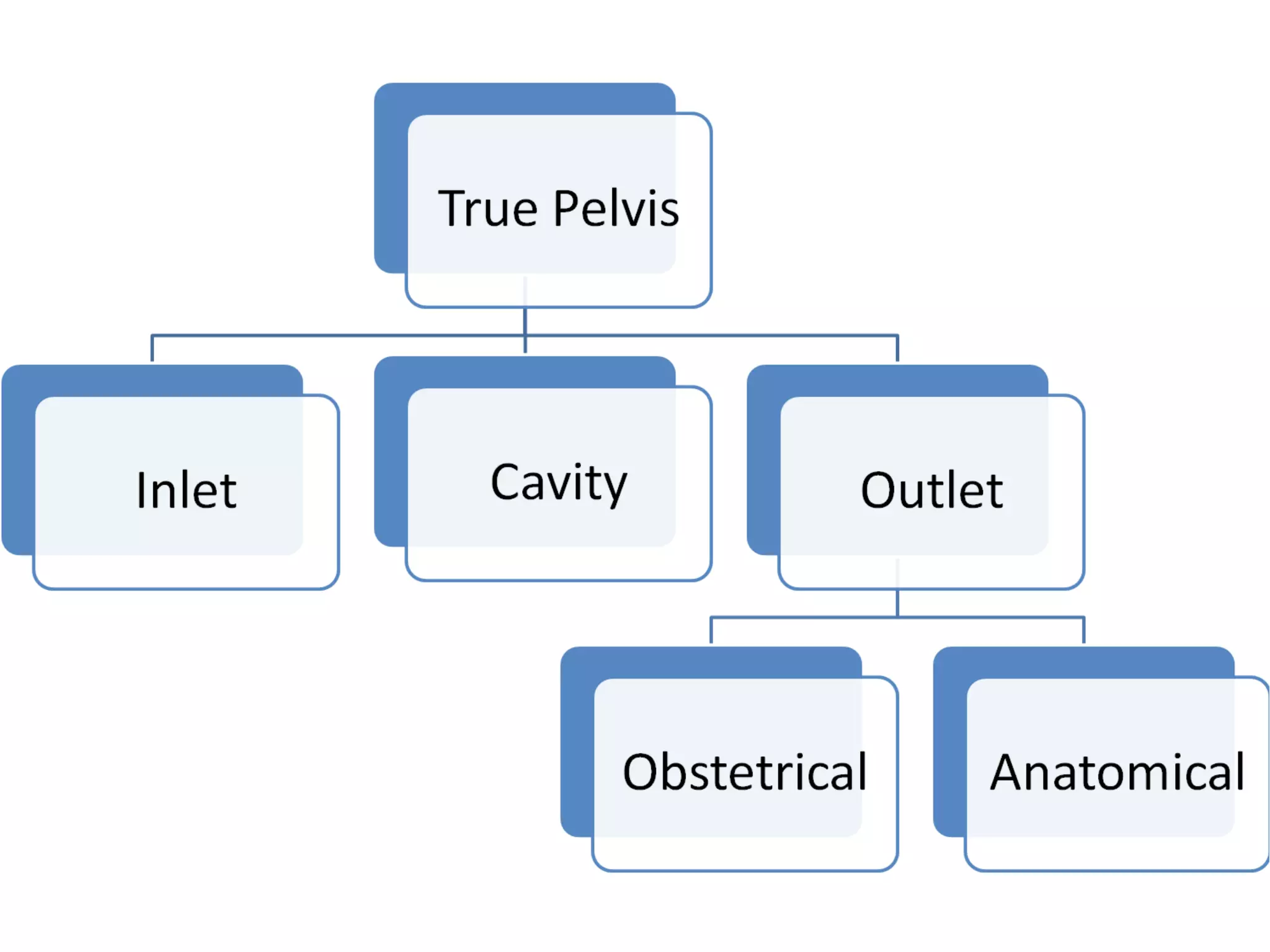 Pelvis and pelvimetry | PPT