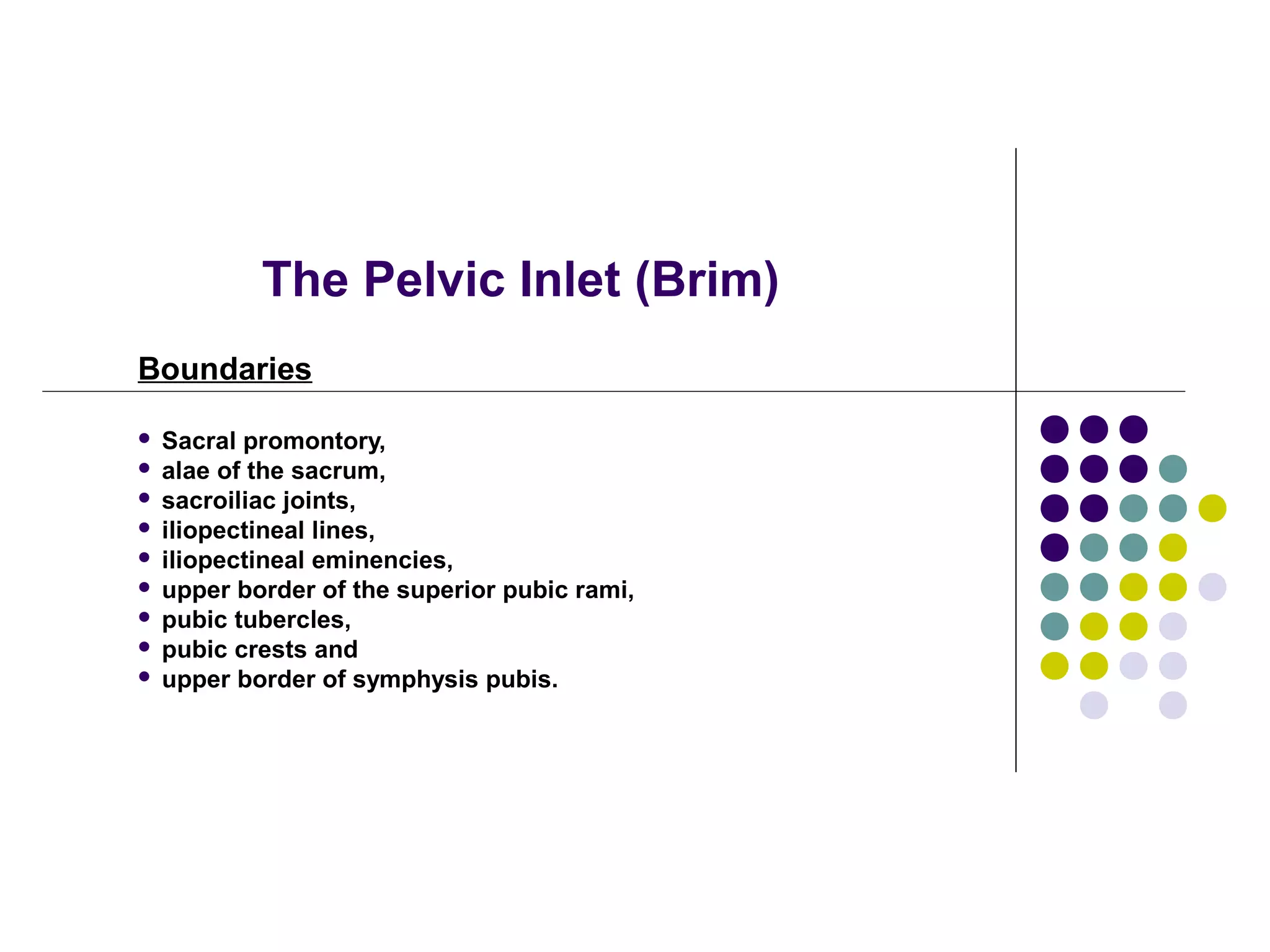 Pelvis and pelvimetry | PPT
